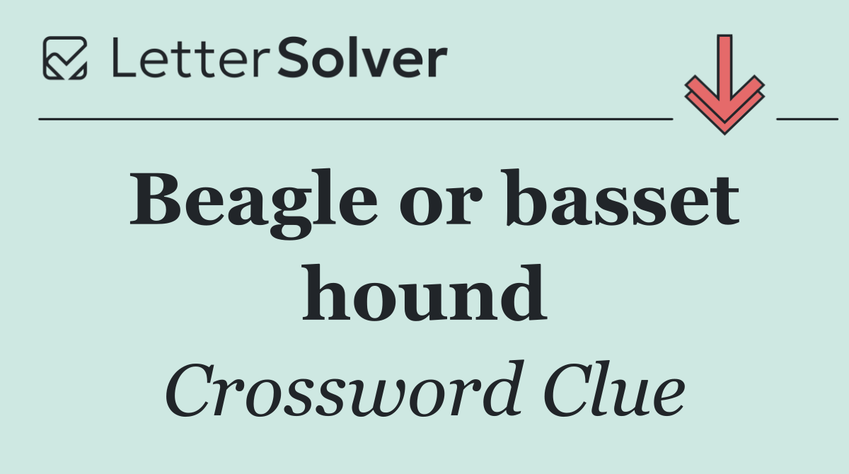 Beagle or basset hound - Crossword Clue Answer - June 24 2026
